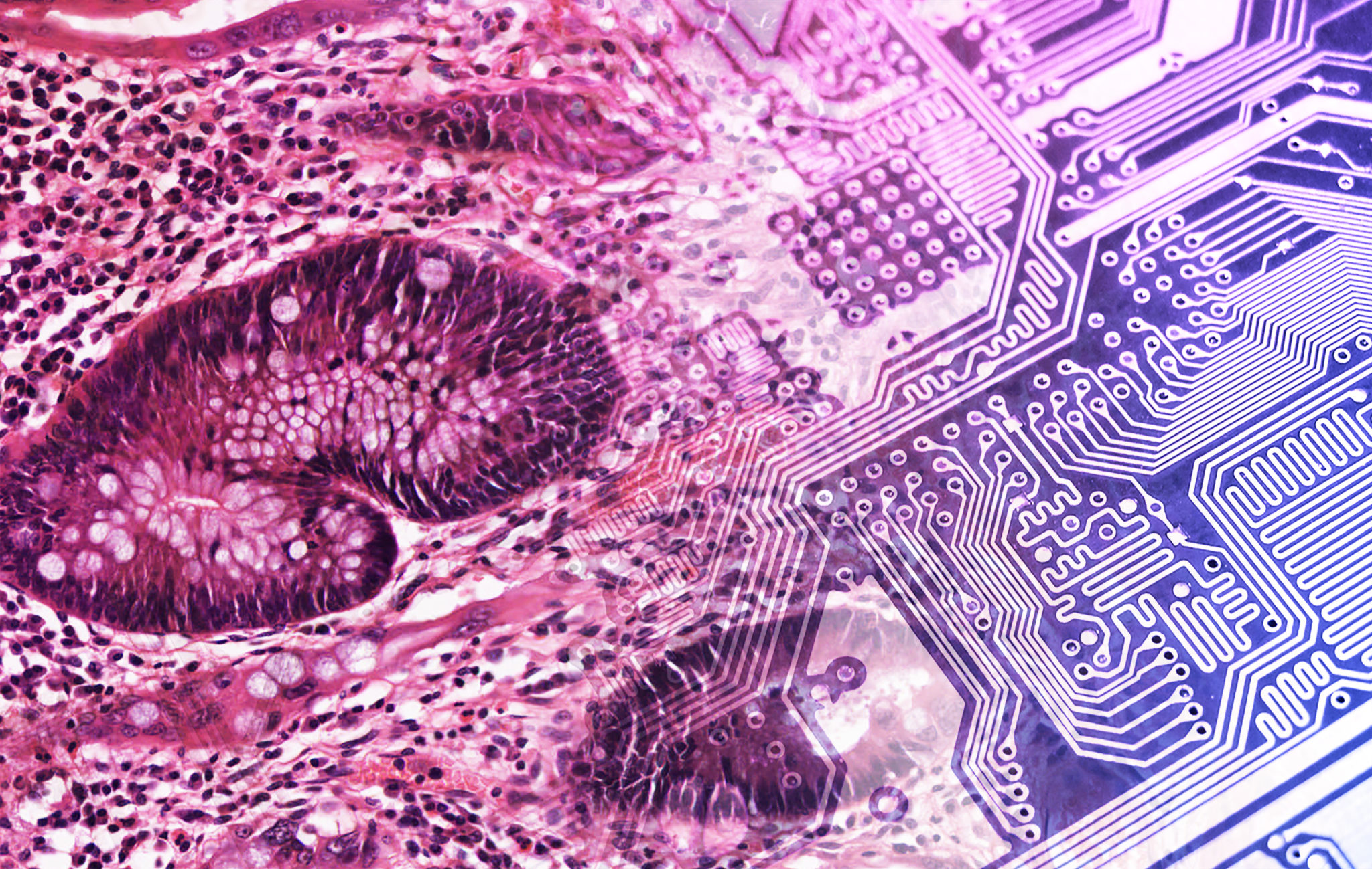 What is Digital Pathology - National Pathology Imaging Co-operative